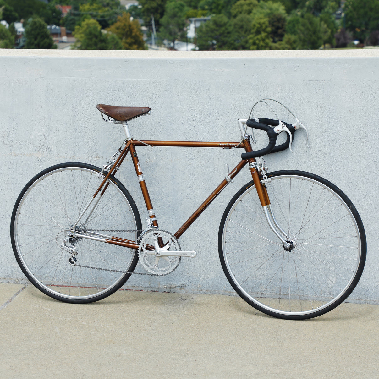 Raleigh Super Course – Ben's Cycles Denver