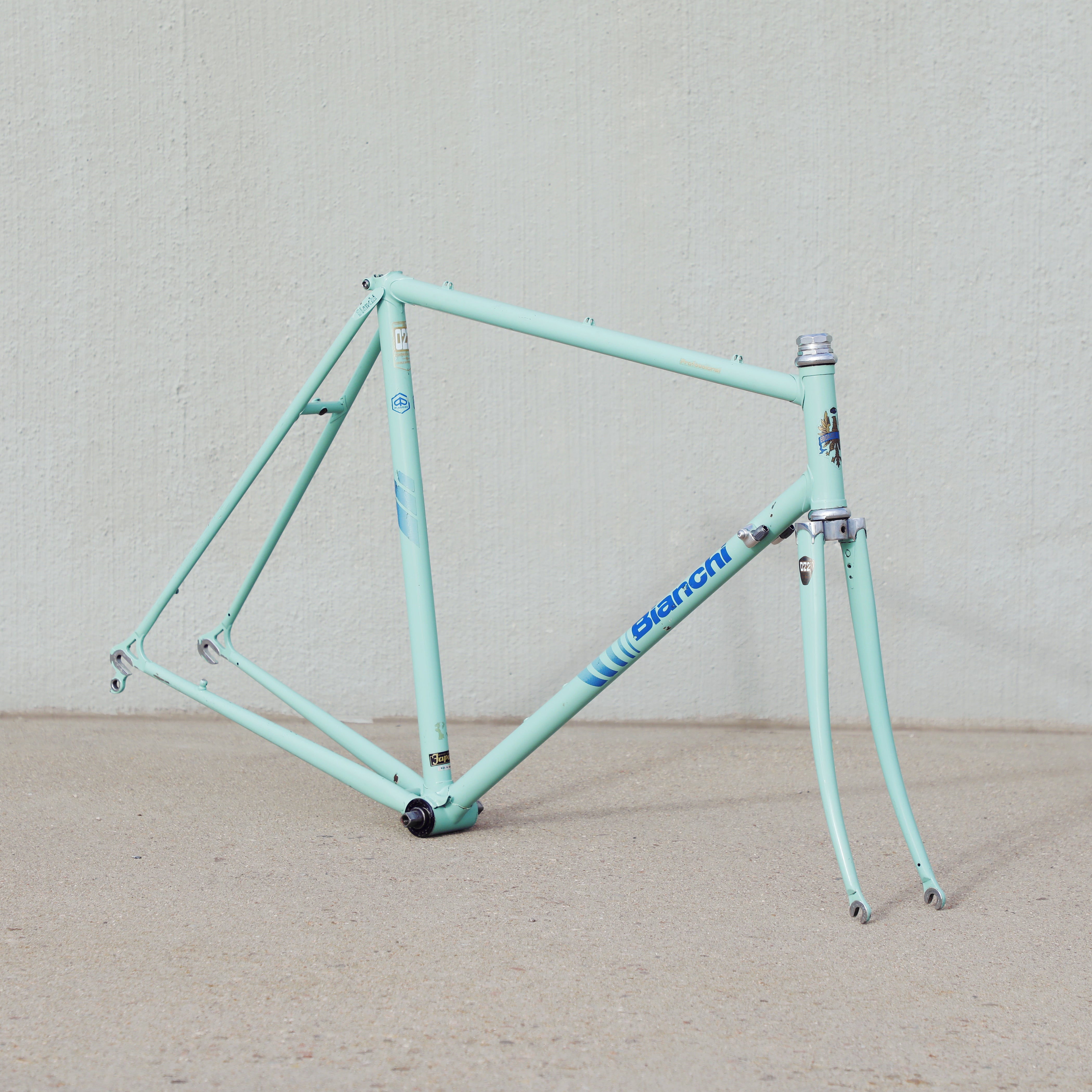 Bianchi Professional – Ben's Cycles Denver