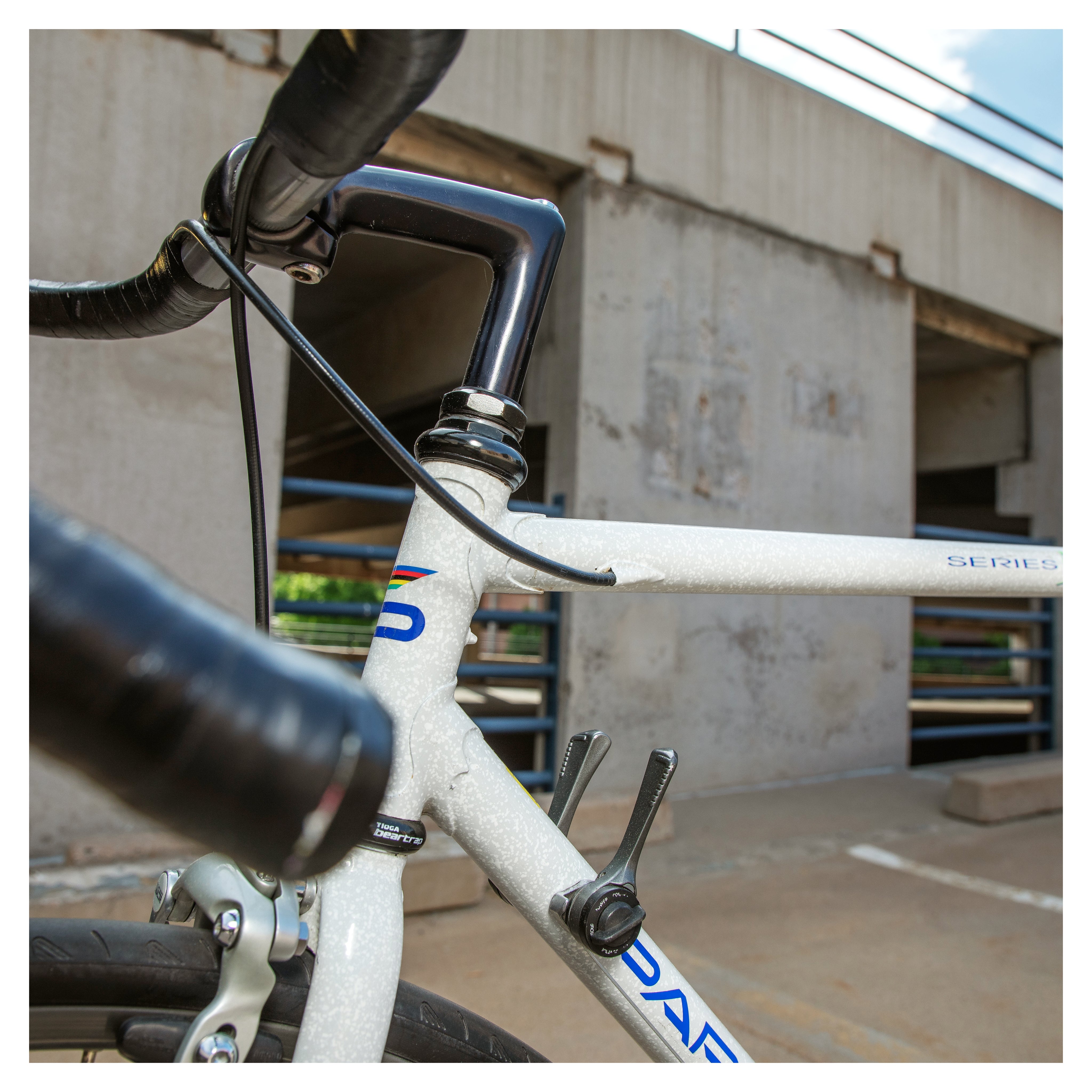 Schwinn Paramount Series 5 PDG – Ben's Cycles Denver